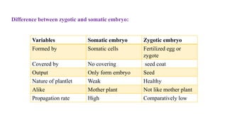 Somatic embryogenesis | PPTX