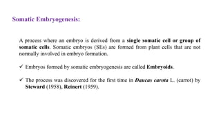Somatic embryogenesis | PPTX