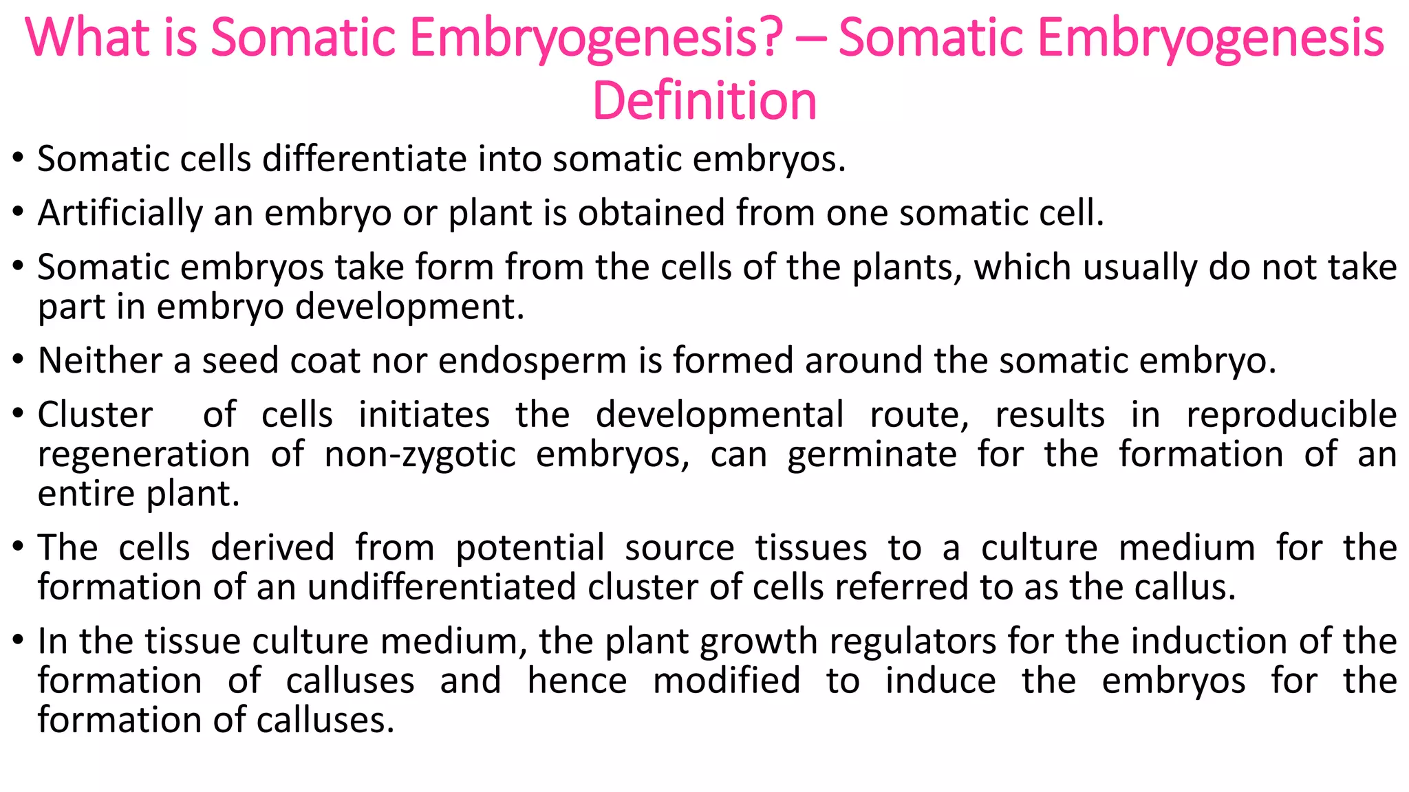 somatic embryogenesis.pptx