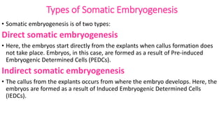 somatic embryogenesis.pptx