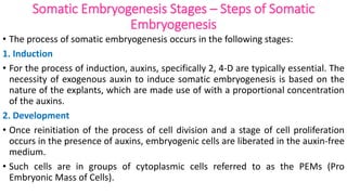 somatic embryogenesis.pptx
