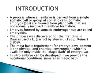 Somatic Embryogenesis.pptx