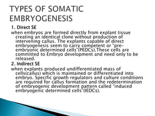 Somatic Embryogenesis.pptx
