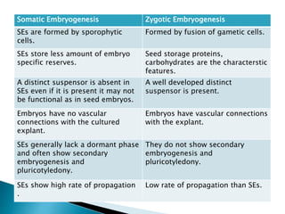 Somatic Embryogenesis.pptx