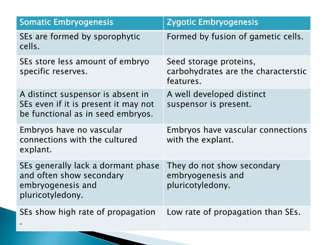 Somatic Embryogenesis Pptx