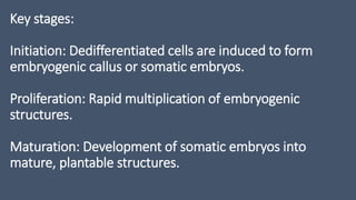 SOMATIC EMBRYOGENESIS.pptx