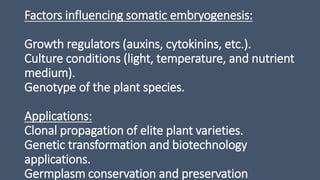 SOMATIC EMBRYOGENESIS.pptx