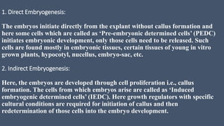 SOMATIC EMBRYOGENESIS.pptx