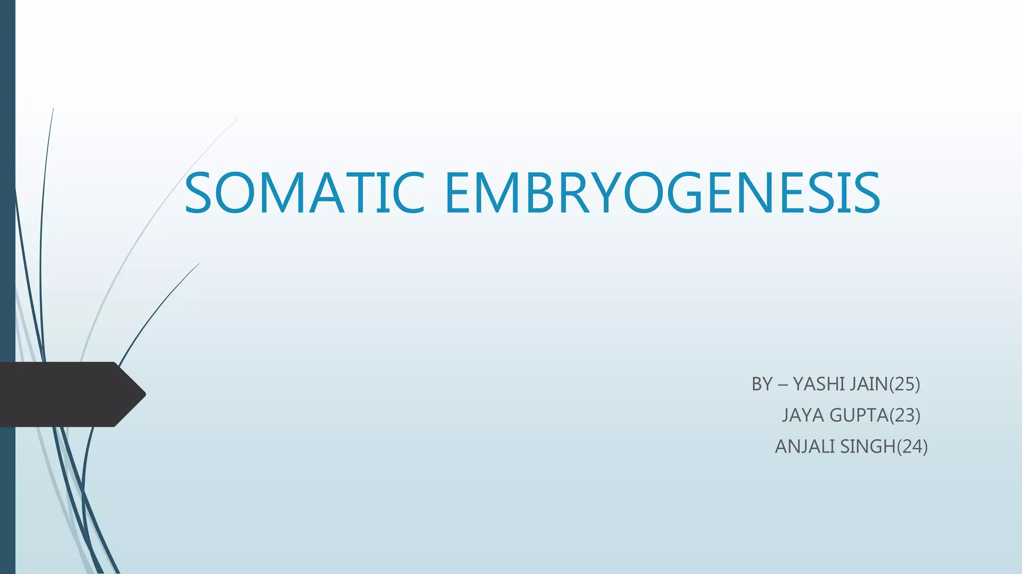 Somatic embryogenesis (1) | PPTX | Genetics | Science