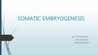 Somatic embryogenesis (1) | PPTX
