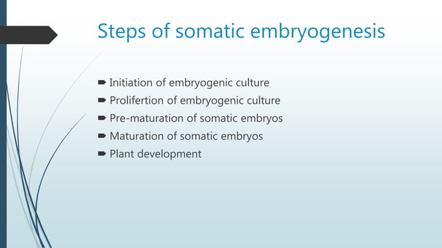 Somatic embryogenesis (1) | PPTX | Genetics | Science
