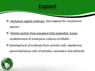 Somatic embryogenesis, in plant tissue culture 2 | PPTX