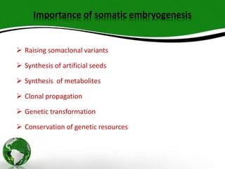 Somatic embryogenesis, in plant tissue culture 2 | PPTX