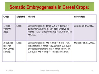 Somatic embryogenesis ; 27 march 15. 3.00 pm | PPTX | Infertility ...