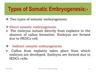 Somatic embryogenesis ; 27 march 15. 3.00 pm | PPTX | Infertility ...