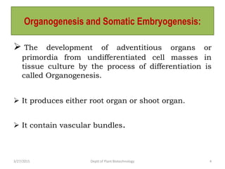 Somatic embryogenesis ; 27 march 15. 3.00 pm | PPTX | Infertility ...