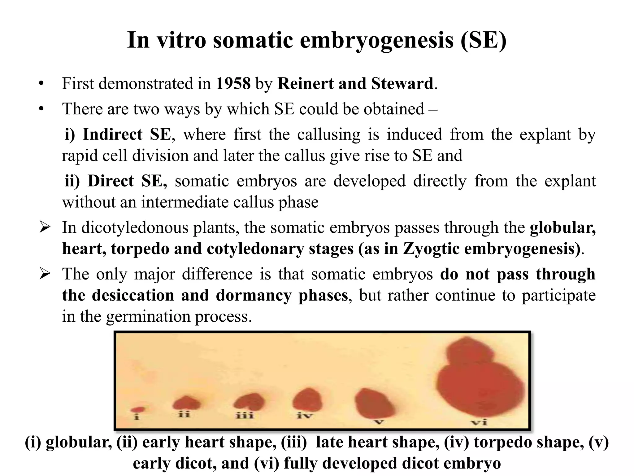 Somatic embryogenesis and artificial seed production | PPTX