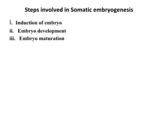 Somatic embryogenesis and artificial seed production | PPTX