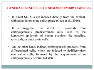somatic embryogenesis in palm species.pptx