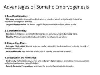 Somatic Embryogenesis (Plant Tissue Culture Technique).ppt