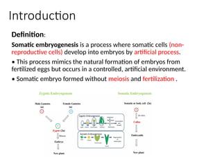 Somatic Embryogenesis (Plant Tissue Culture Technique).ppt