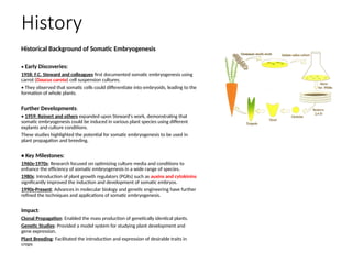 Somatic Embryogenesis (Plant Tissue Culture Technique).ppt