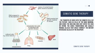somatic gene therapy.pdf