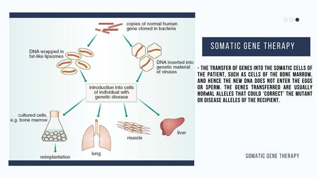 somatic gene therapy.pdf