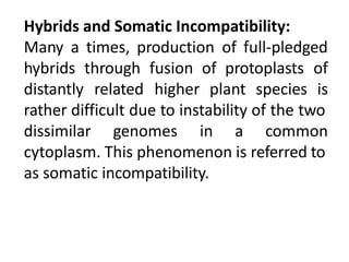 somatic hybrid.pptx