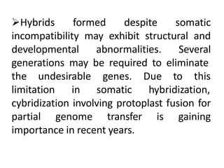 somatic hybrid.pptx