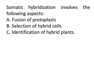 somatic hybrid.pptx
