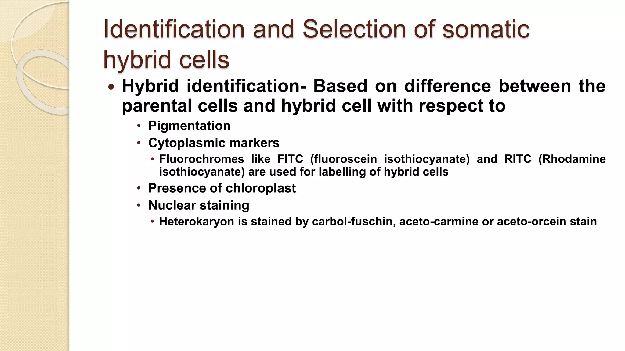 Somatic hybridisation | PPTX