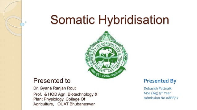 Somatic hybridisation | PPT