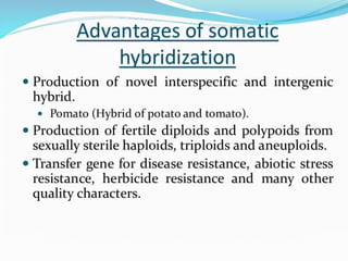 Somatic hybridisation, methods . | PPTX