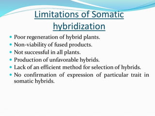 Somatic hybridisation, methods . | PPTX