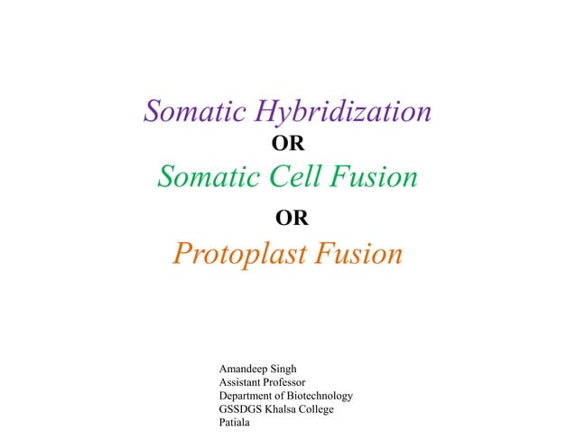 Somatic hybridization | PPT