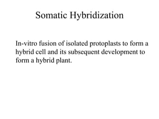 Somatic hybridization | PDF