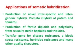 Somatic hybridization | PPTX