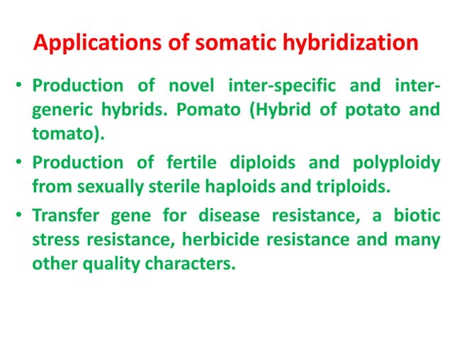Somatic hybridization | PPTX