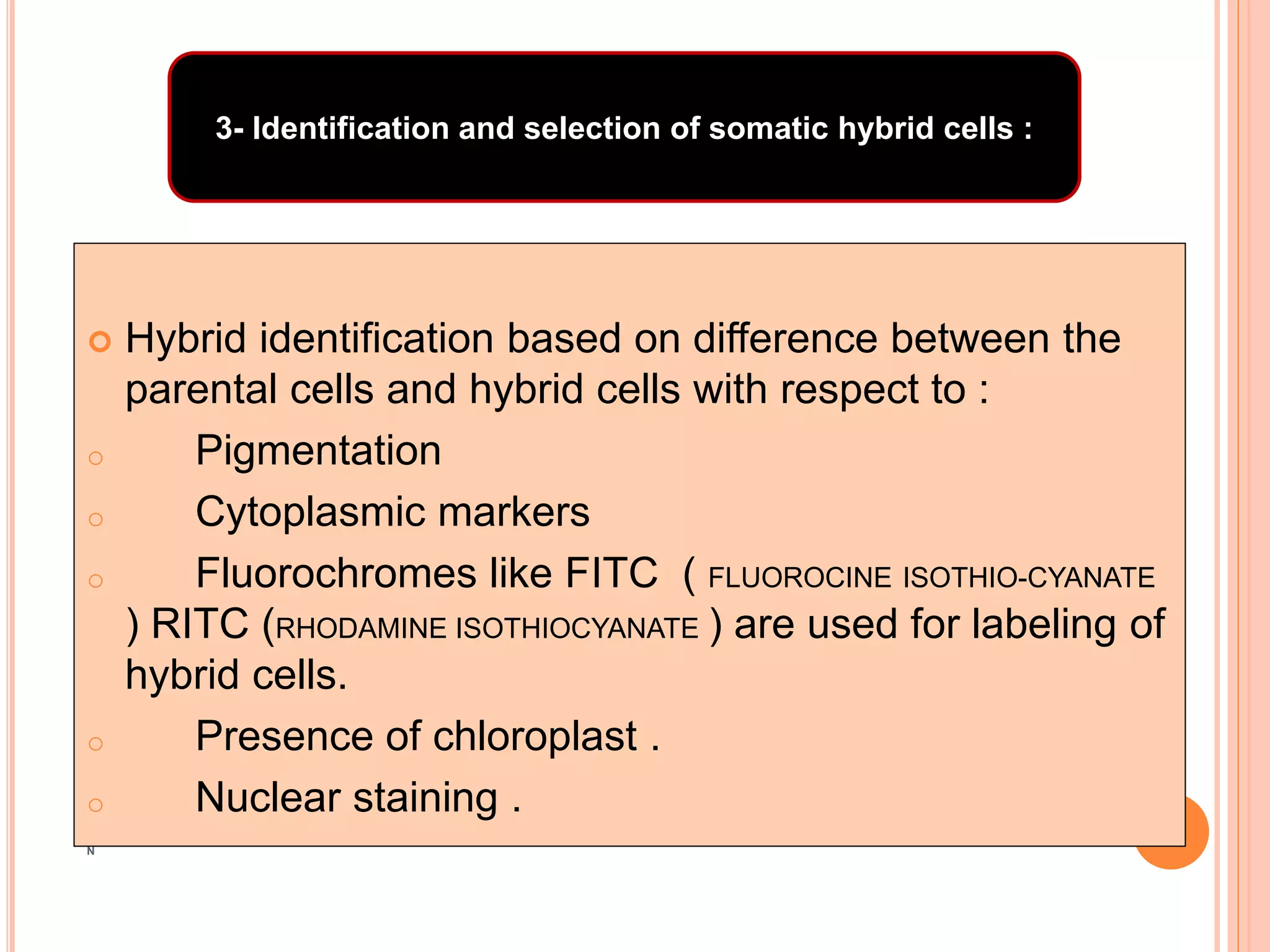 Somatic hybridization.pptx