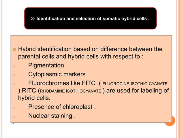 Somatic hybridization.pptx