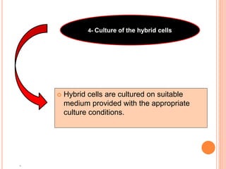 Somatic hybridization.pptx
