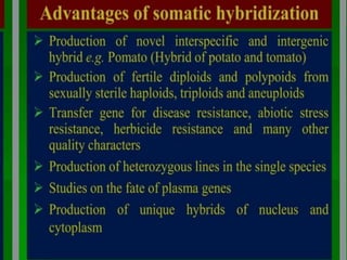 somatic hybridization.pptx