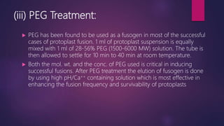 Somatic hybridization faizy | PPTX