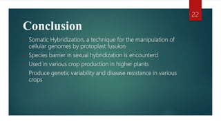 Somatic hybridization in higher plants | PPTX
