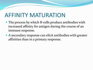 Somatic hypermutation and affinity maturation | PPTX