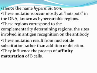 Somatic hypermutation and affinity maturation | PPTX