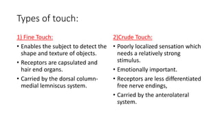 Somatic mechanoceptive sensation.hussein f. sakr | PPTX