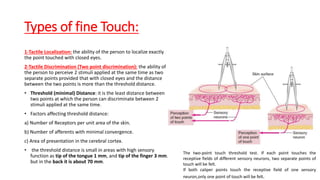 Somatic mechanoceptive sensation.hussein f. sakr | PPTX
