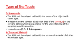 Somatic mechanoceptive sensation.hussein f. sakr | PPTX